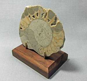 Wood stands for rocks or bonsai, clocks and more